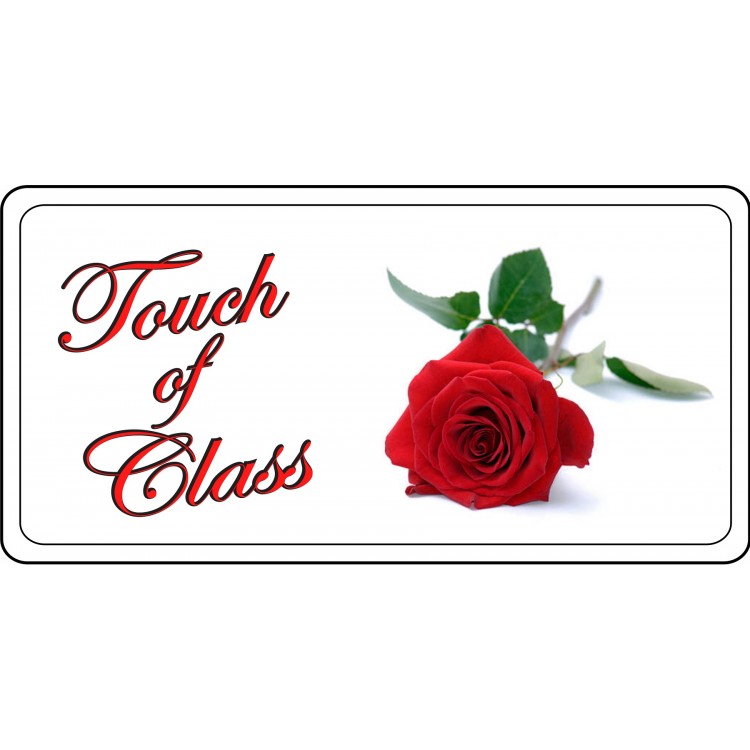 Touch Of Class Rose
